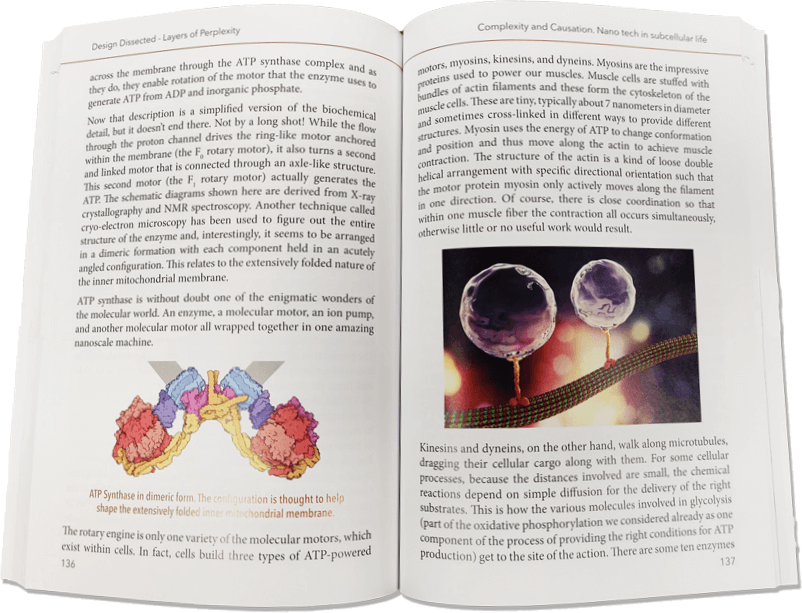 Compelling new book explores Intelligent Design in living things