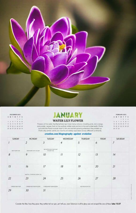 2023 Creation Calendar now available - get yours today!