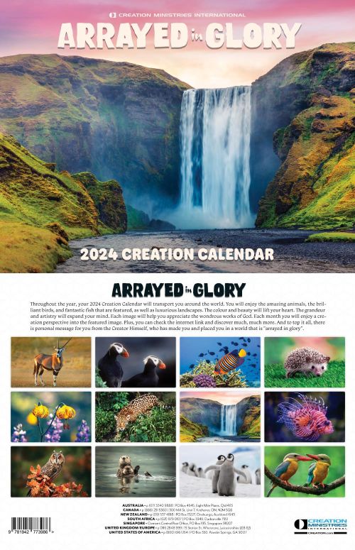 2024 Creation Calendar now available - get yours today!