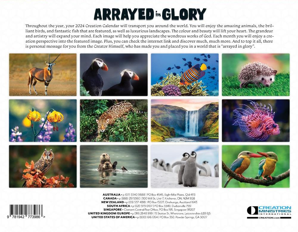 2024 Creation Calendar now available - get yours today!