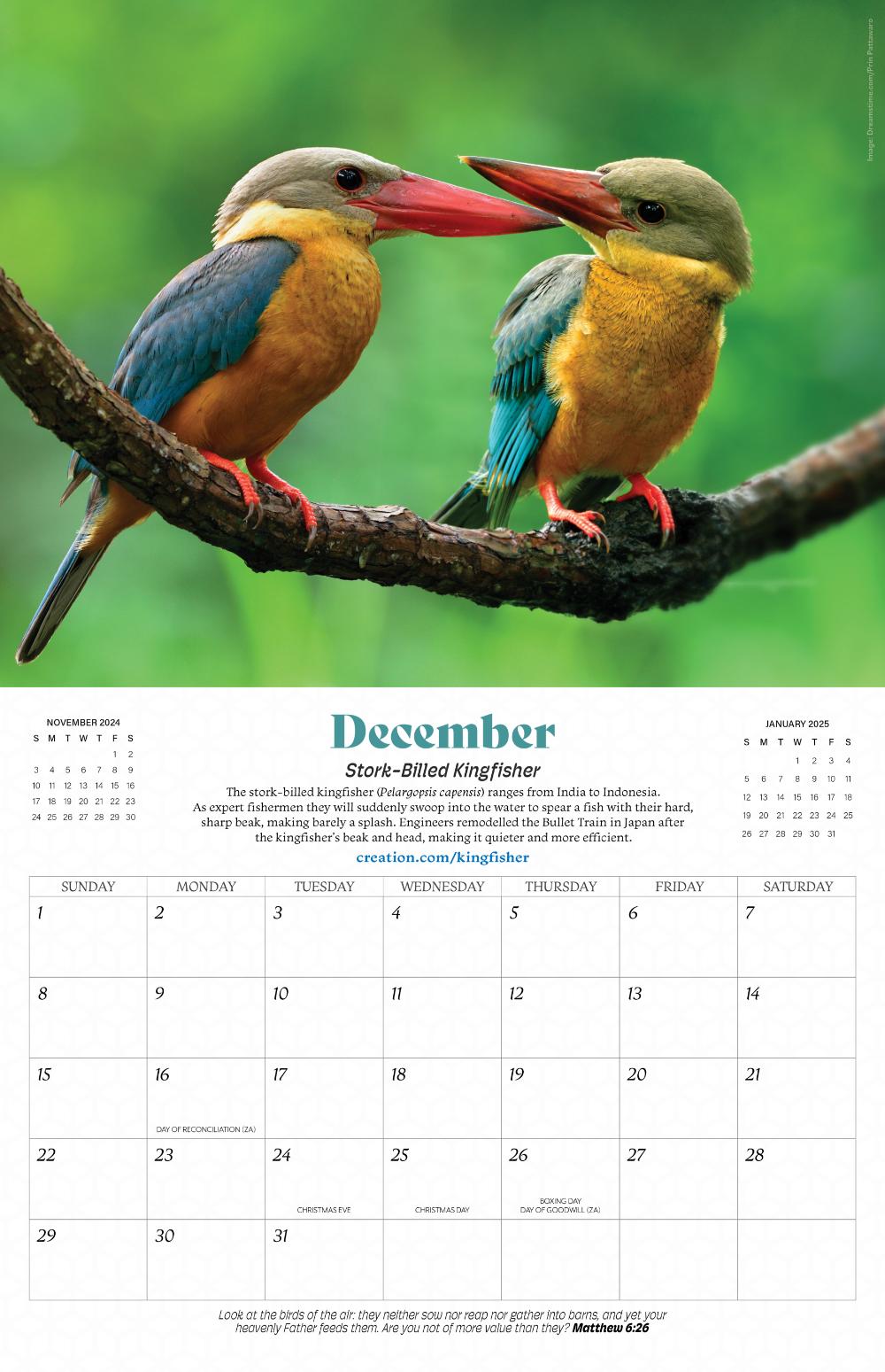 2024 Creation Calendar now available - get yours today!